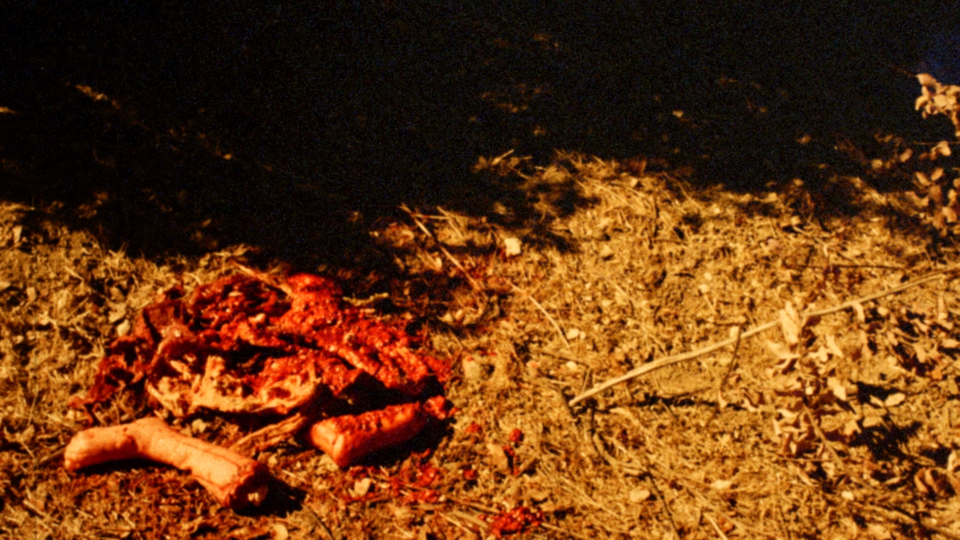 Feature Film: How to Explain Laughing to Dead Flowers – TEN-HEADED SKELETON