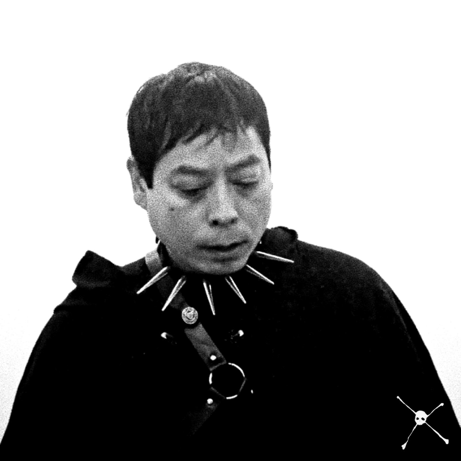 New Album: Troubadours Drown in Lakes – TEN-HEADED SKELETON